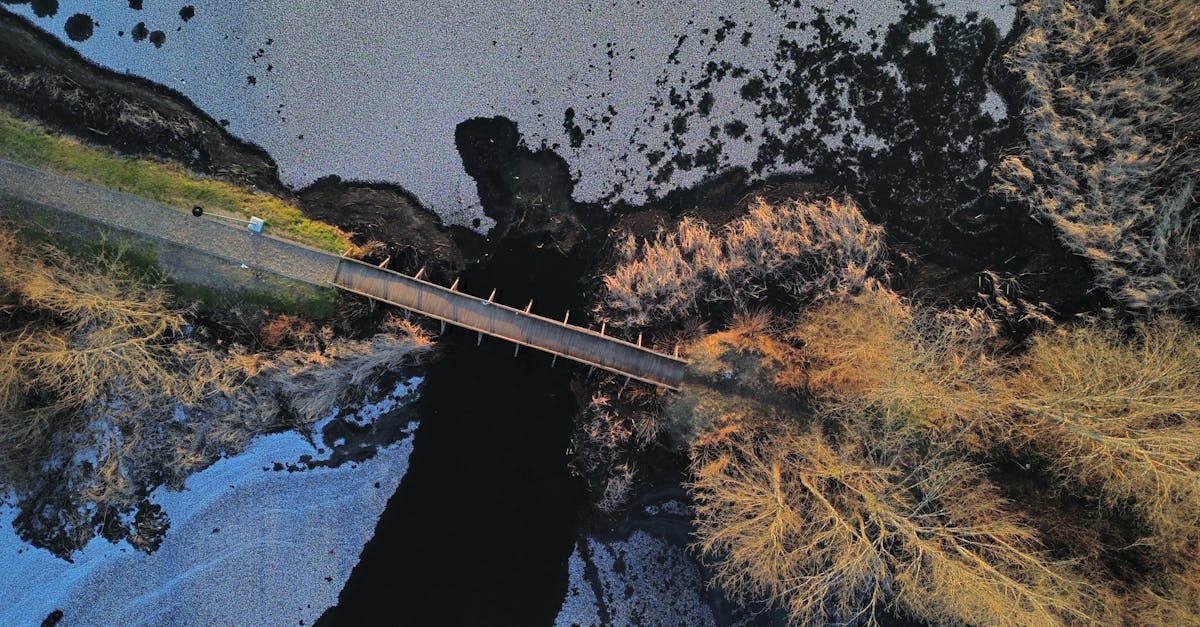 Découvrez les merveilles des îles croates : focus sur Dugi Otok ...